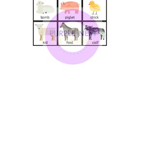 Farm Animal Babies Worksheet, Match Baby to Mother Game, Educational ...