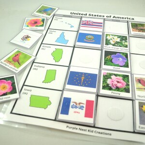 United States of America Bundle, USA Map, Geography, States, Birds ...