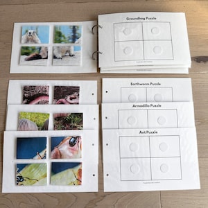 Soil & Burrowing Animals Unit Study: Educational Printables (PDF) - Etsy
