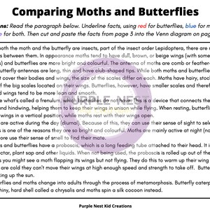 Moths and Butterflies Sorting Game: Venn Diagram Printable (PDF) - Etsy