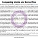 Butterflies and Moths Sorting Worksheet, Sorting Game, Venn Diagram ...