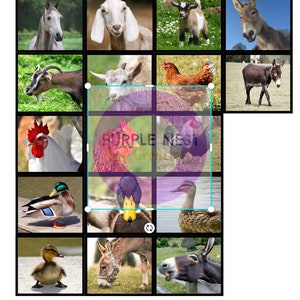 Farm Animal Sort Worksheet, Farm Animals Sorting Game, Educational ...