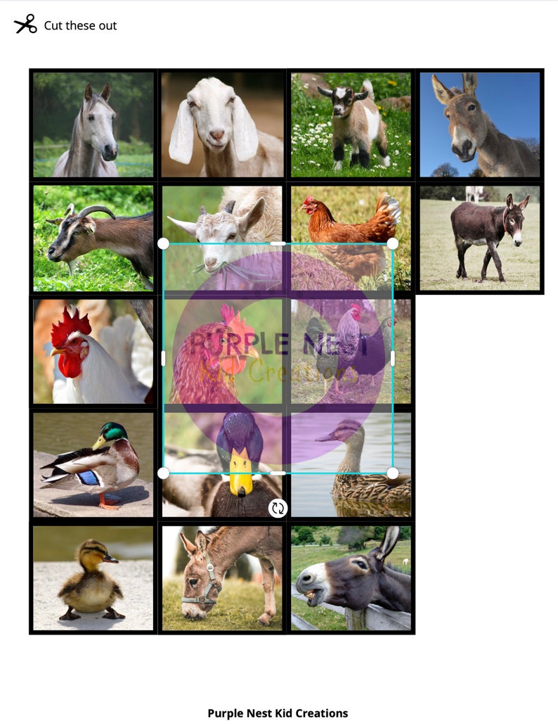 Farm Animal Sort Worksheet Farm Animals Sorting Game | Etsy