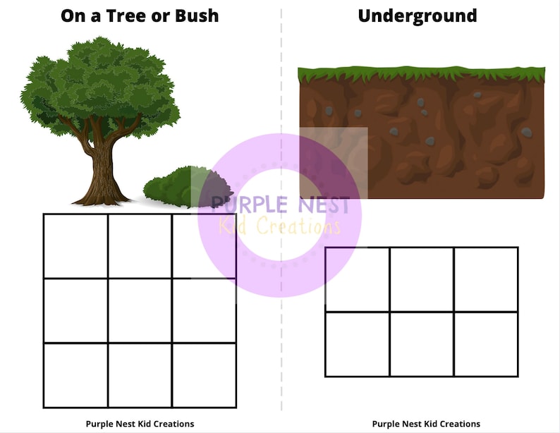 Fruits & Vegetables Sorting Mats: Educational Game (digital Download ...