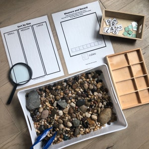 Preschool Measurement Activities: Size Sort & Counting (digital ...