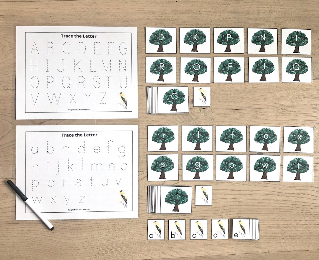 Spring Letter Recognition Activities, Matching Game, Alphabet, Birds ...