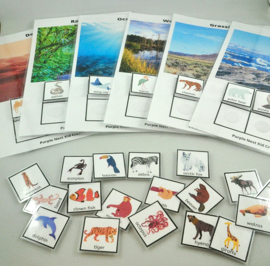 Animal Habitat Sorting Activity: Geography Printable (PDF Download) - Etsy