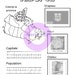 French Canadian Provinces & Territories Fact Worksheets (PDF Printable ...