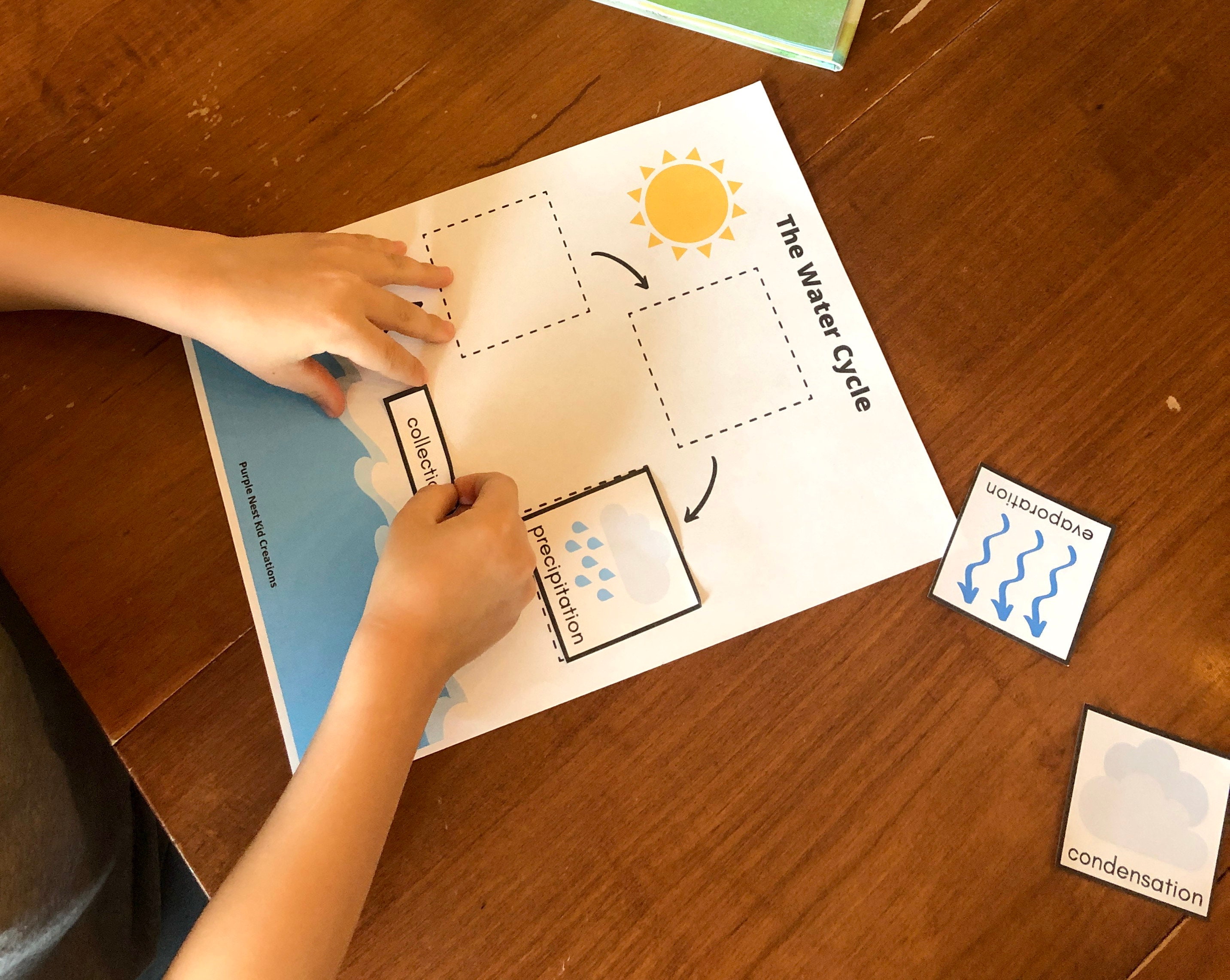 The Water Cycle Worksheet Water Life Cycle Rain Raindrops - Etsy