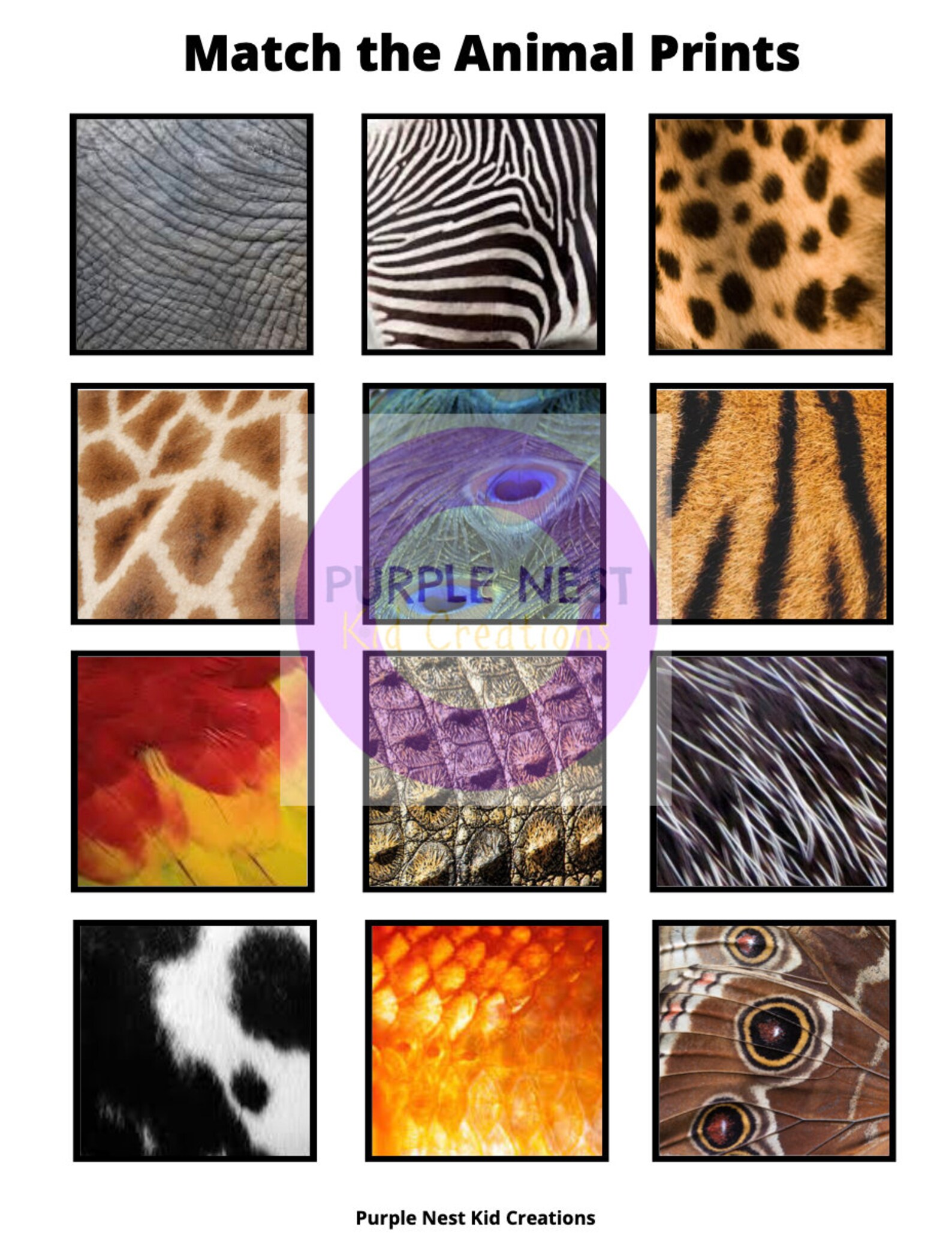 Match the Animal Prints Worksheet Animal Matching Game - Etsy