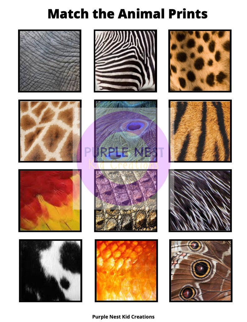 Match the Animal Prints Worksheet Animal Matching Game - Etsy