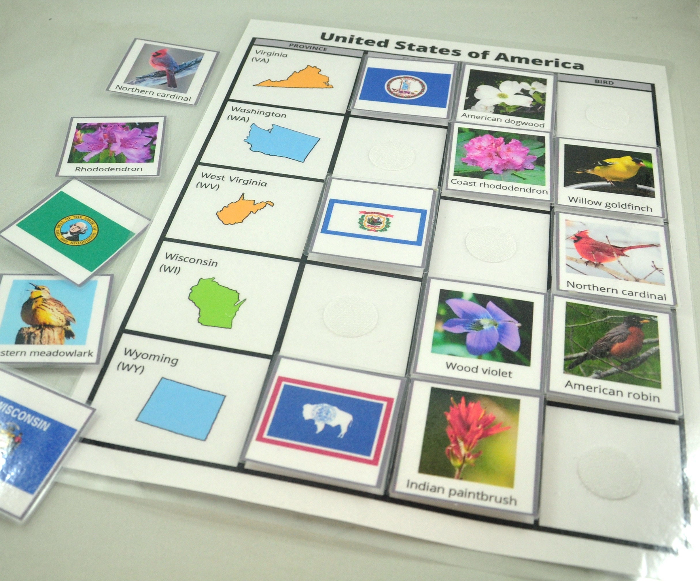 USA Geography Bundle: States, Birds, Flags Printable Activity (PDF) - Etsy