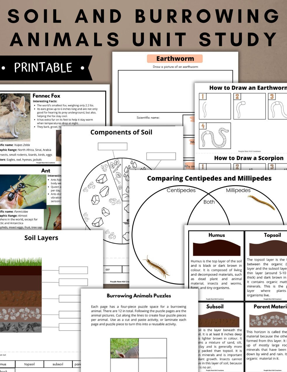 Burrowing Animals Diagram