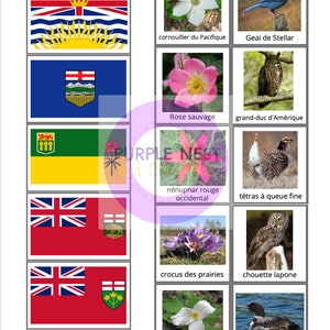 French Canadian Fact Worksheets, Flash Cards, Provinces, Territories ...