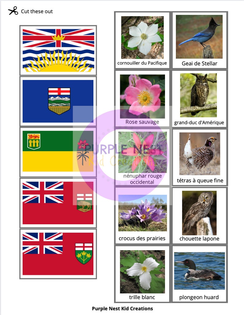 French Canadian Provinces & Territories Fact Worksheets (PDF Printable ...