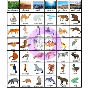 Animals Habitat Sorting Worksheets, Habitat Sorting Mats, Animals ...