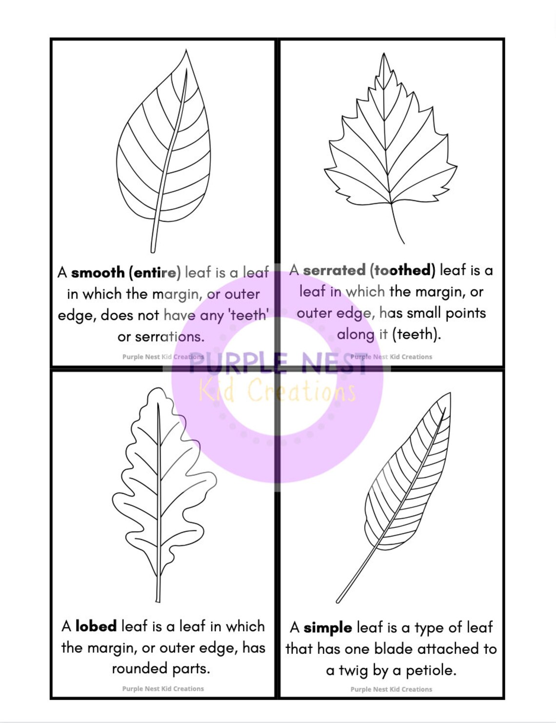 Leaf Observation Worksheets & Fact Cards: Autumn Nature Study (PDF) - Etsy