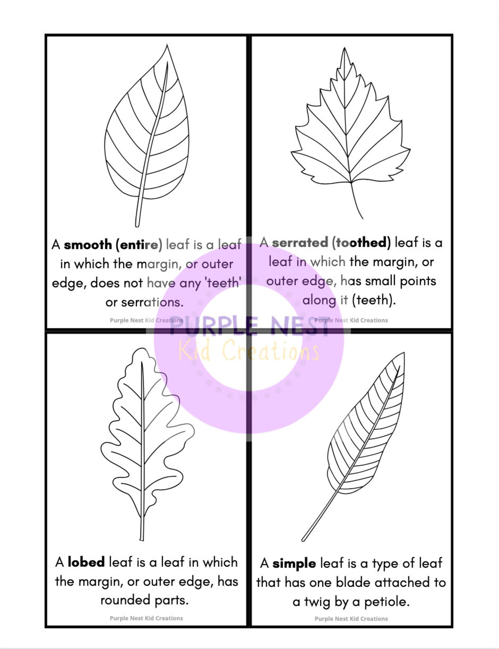 Leaf Observation Worksheets & Fact Cards: Autumn Nature Study (PDF) - Etsy