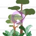 Layers of the Rainforest Worksheet, Rainforest Habitat, Geography ...