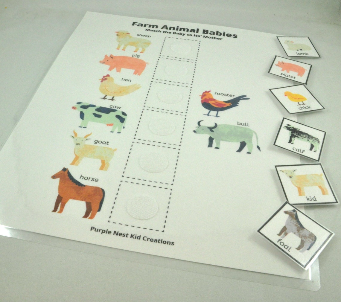 Farm Animal Babies Worksheet Match Baby to Mother Game | Etsy