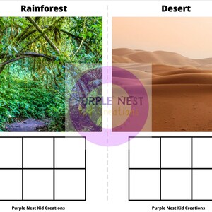 Animal Habitat Sorting Activity: Geography Printable (PDF Download) - Etsy