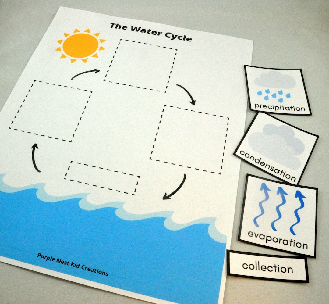 Water Cycle Worksheet: Preschool Printable Activity (digital Download ...