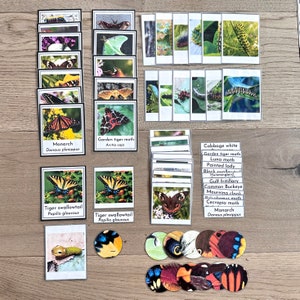 Butterfly and Moth Unit Study Bundle, Spring Unit Study, Spring ...