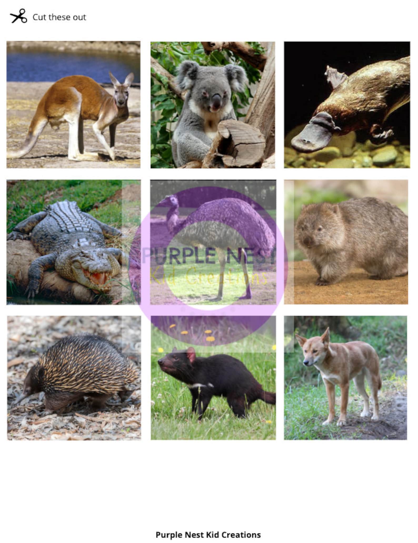 Australian Animals Matching Worksheet Busy Book Page - Etsy