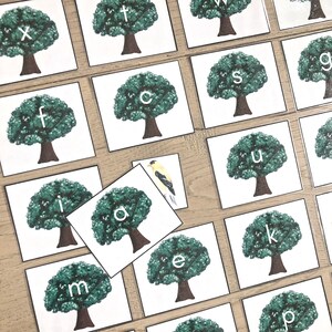 Spring Letter Recognition Activities, Matching Game, Alphabet, Birds ...