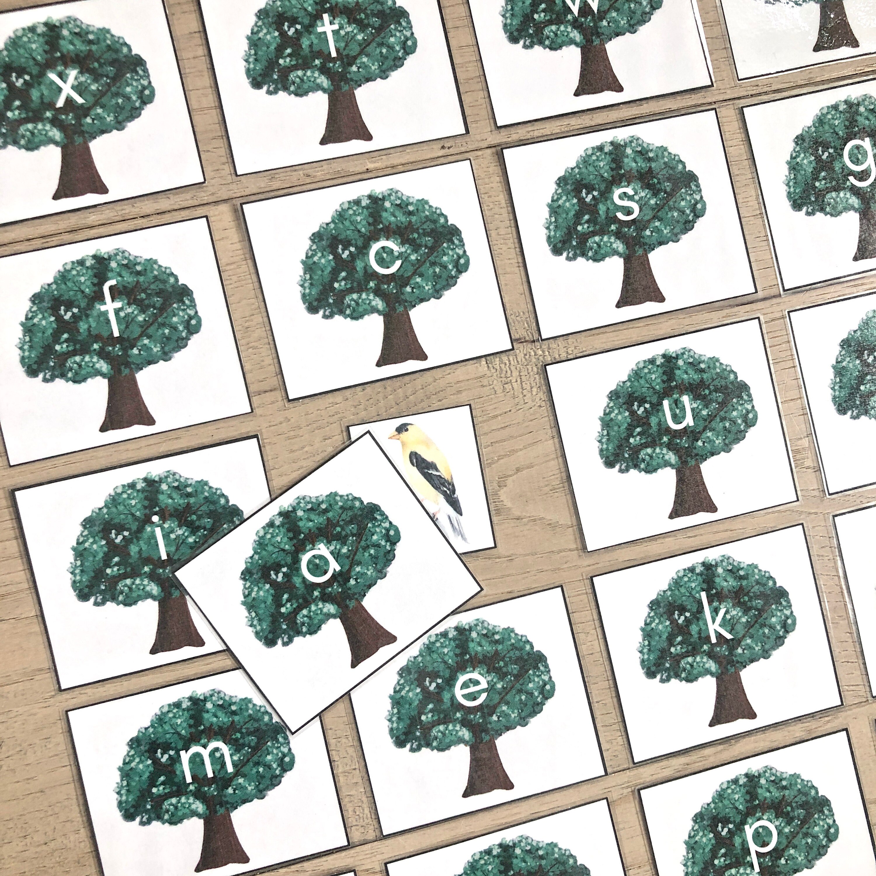 Spring Alphabet Matching Game: Letter Recognition Printable (digital ...
