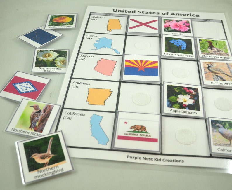 United States of America Bundle USA Map Geography States - Etsy Canada