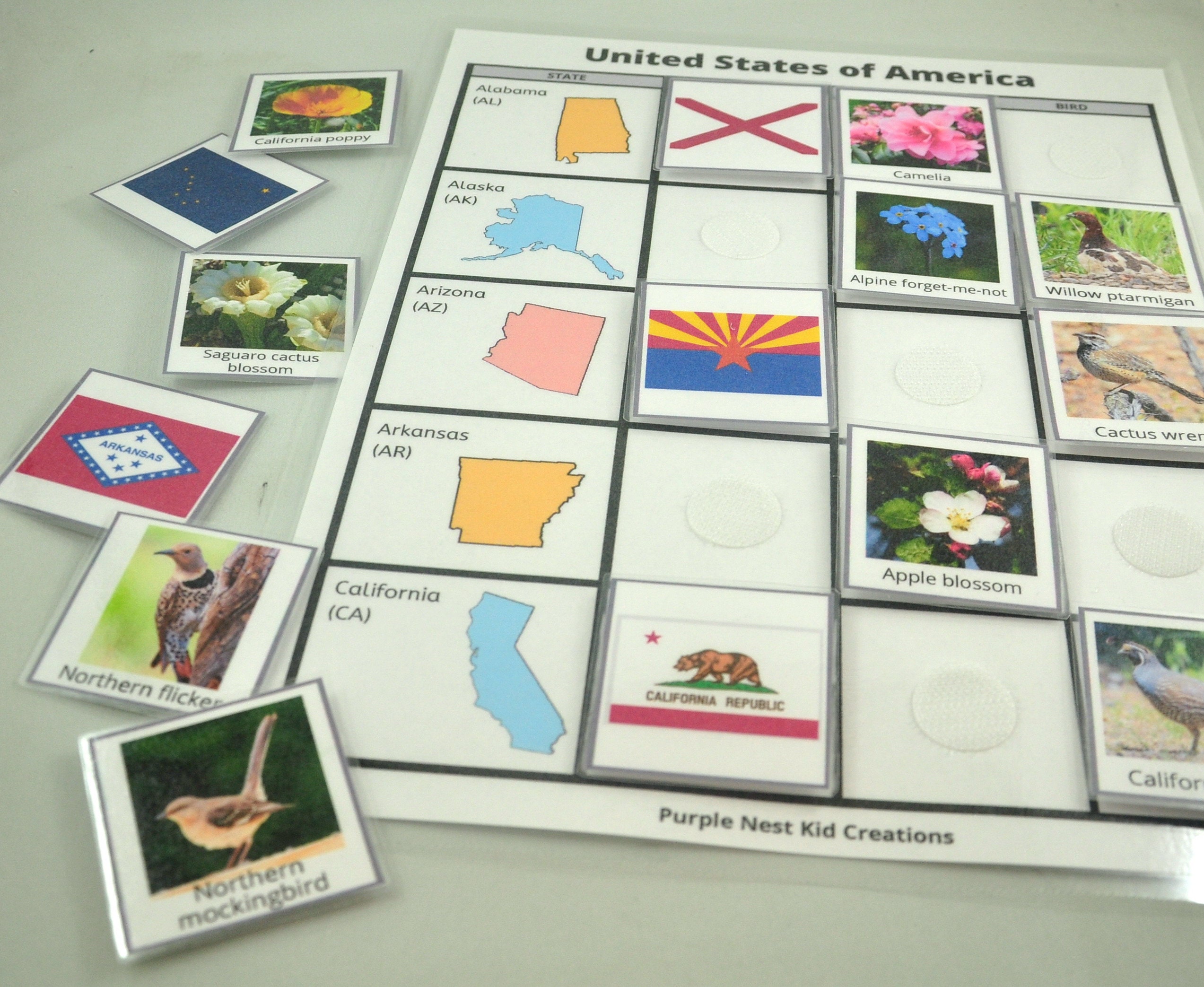 United States of America Bundle USA Map Geography States - Etsy