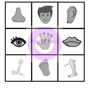 Body Parts Matching Game: Preschool Printable Activity (PDF) - Etsy