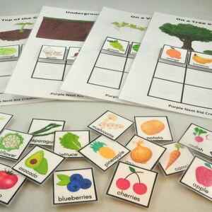 Fruits & Vegetables Sorting Mats: Educational Game (digital Download ...