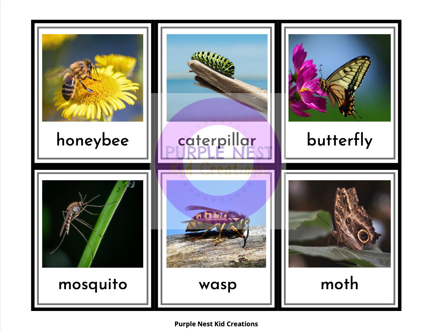 Insects Flash Cards Bugs Insects Montessori Nomenclature | Etsy