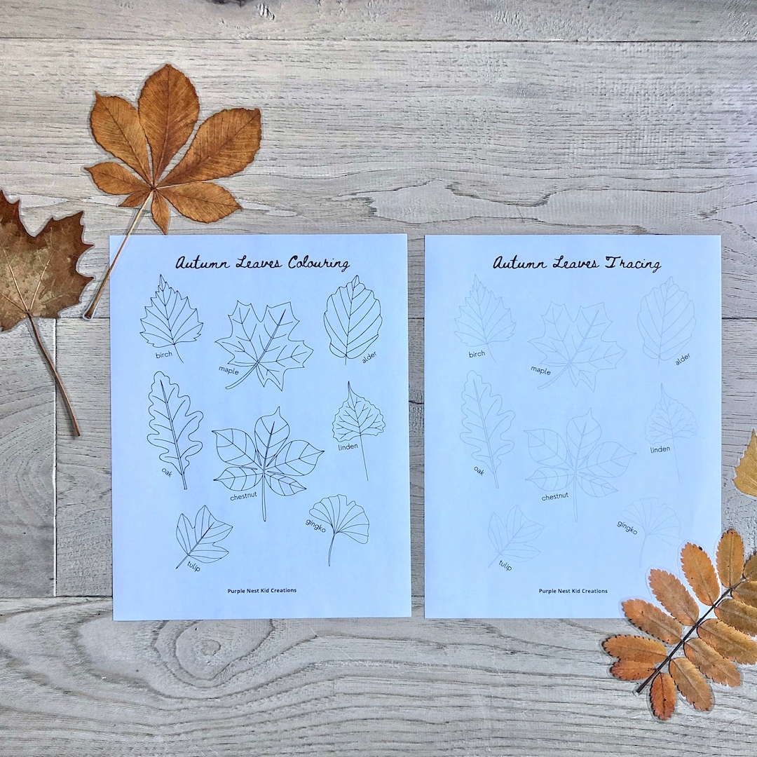 Autumn Leaves Tracing & Coloring Pages: Educational Printable (PDF) - Etsy