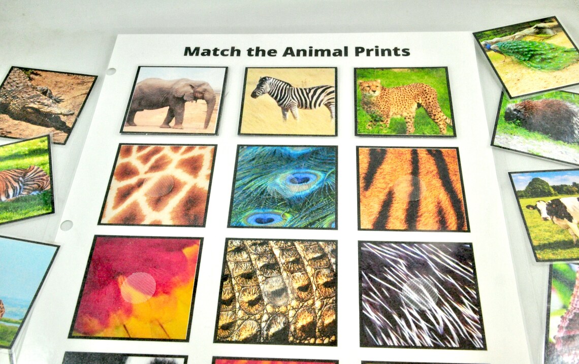Match the Animal Prints Worksheet Animal Matching Game - Etsy
