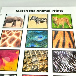 Match the Animal Prints Worksheet, Animal Matching Game, Educational ...