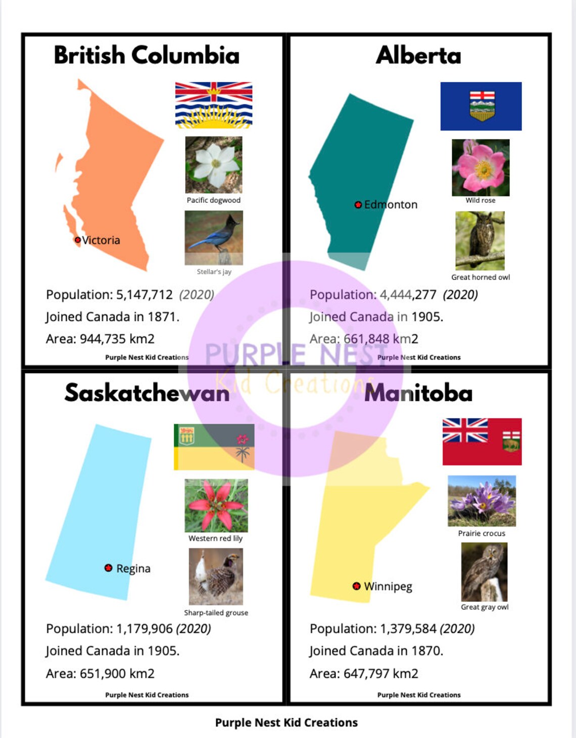 Canadian Fact Worksheets Flash Cards Provinces Territories | Etsy