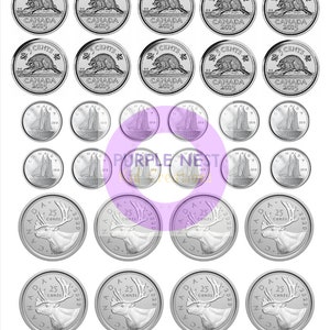 Money Counting Worksheet, Canadian Coins, Counting Game, Educational ...