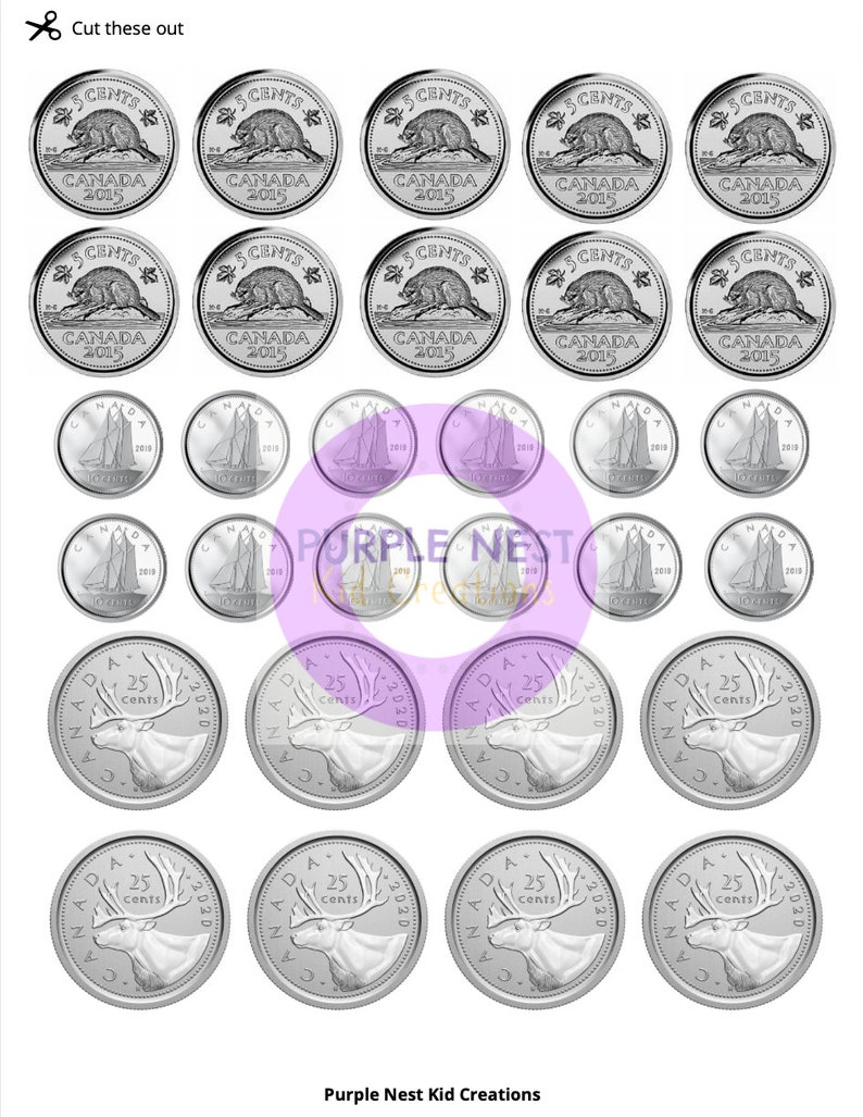 Money Counting Worksheet Canadian Coins Counting Game - Etsy