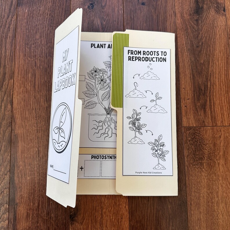 Plants Bundle: From Roots to Reproduction, Plant Anatomy, Seed ...