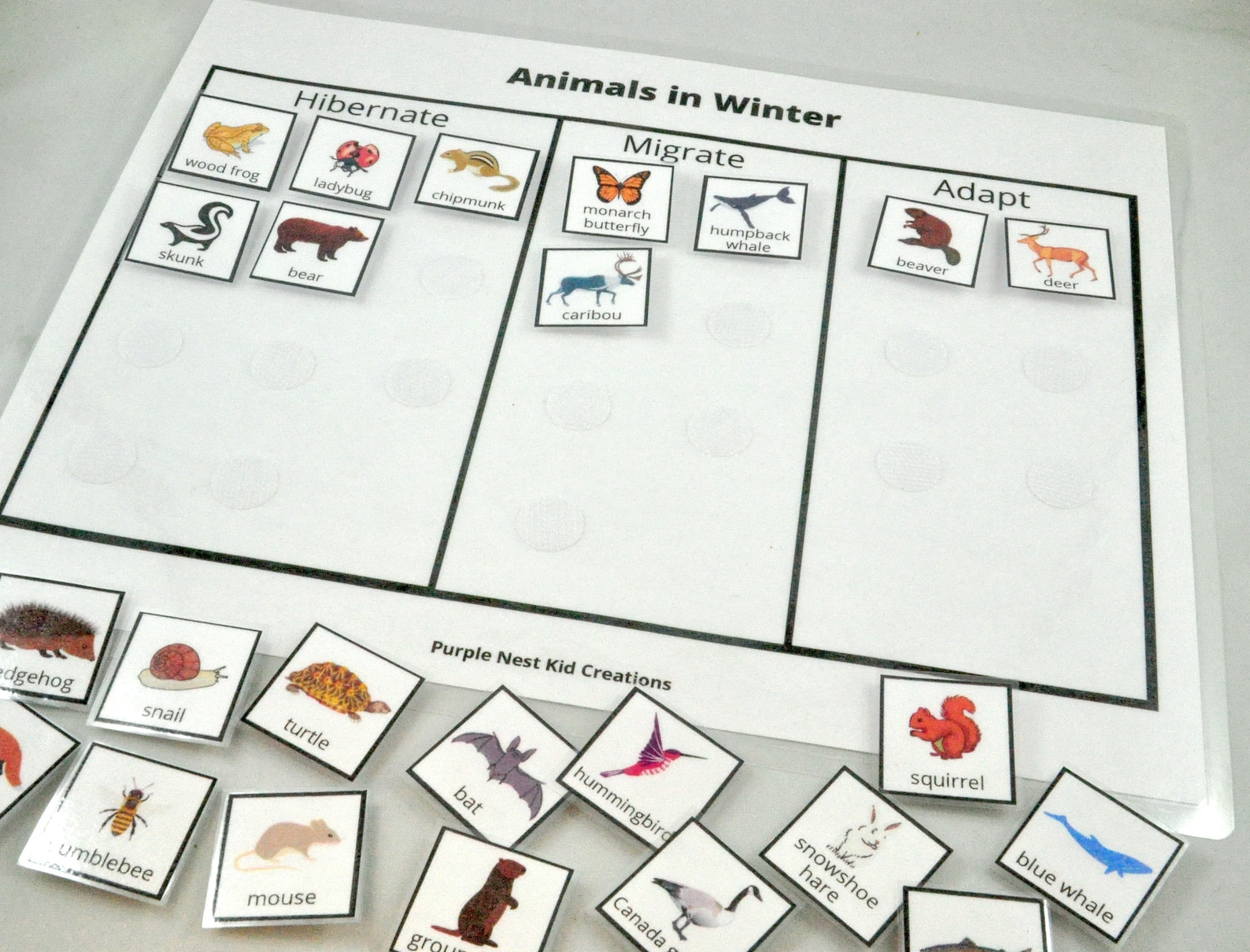 Animals in Winter Sorting Worksheet Hibernate Migrate Adapt - Etsy