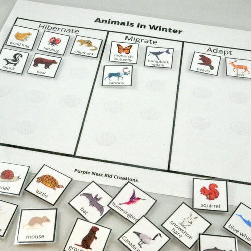 Animals in Winter Sorting Worksheet Hibernate Migrate Adapt - Etsy Canada