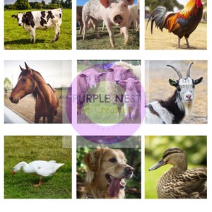 Match the Farm Animals Worksheet, Animal Matching Game, Educational ...