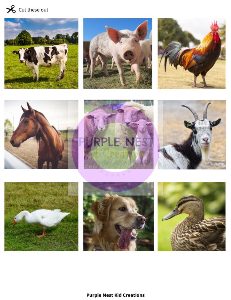 Match the Farm Animals Worksheet Animal Matching Game - Etsy