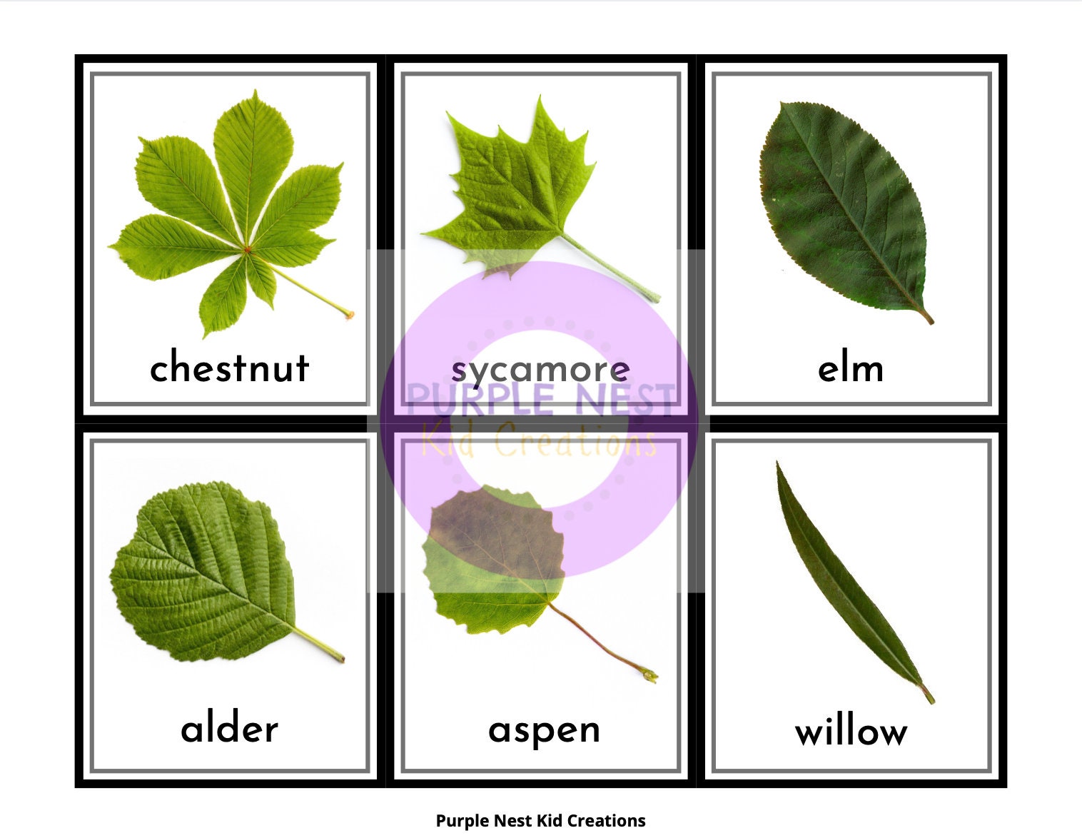 Leaves Flash Cards Fall Autumn Montessori Nomenclature - Etsy