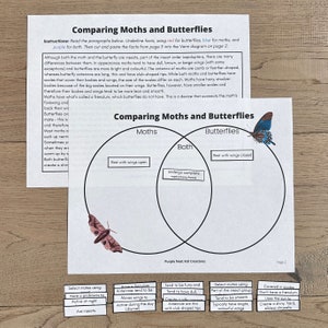 Butterfly & Moth Unit Study: Life Cycle, Anatomy, Activities (PDF) - Etsy