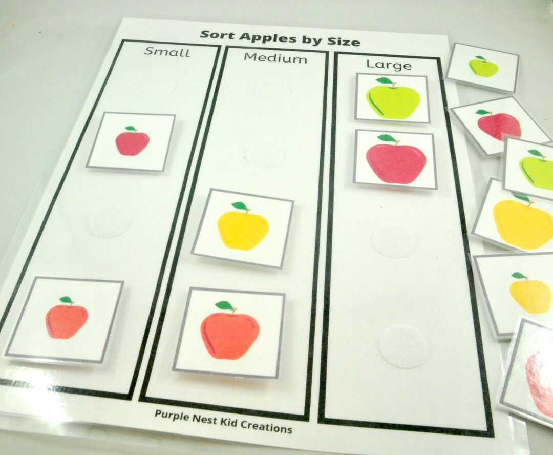 Apple Size Sorting Worksheet: Preschool Printable Activity (PDF) - Etsy