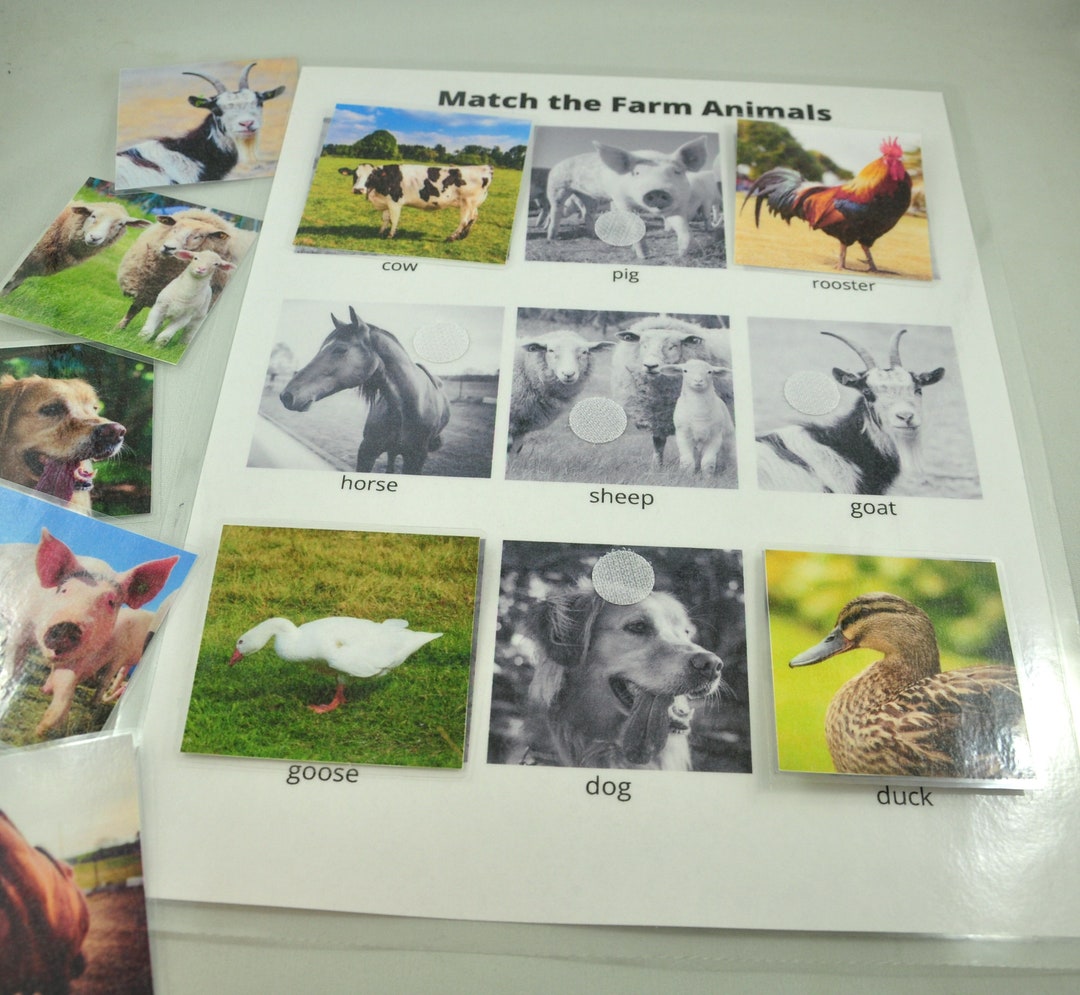 Match the Farm Animals Worksheet, Animal Matching Game, Educational ...
